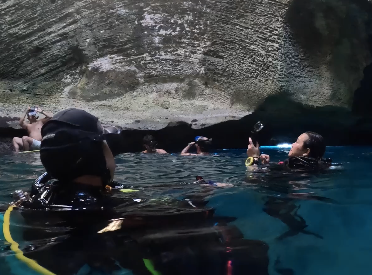 Bahamas Aggressor I | Adventure Logs