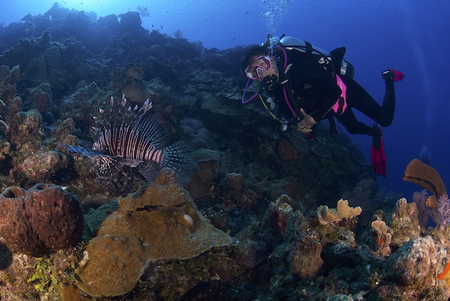 Turks & Caicos Aggressor II | Adventure Logs