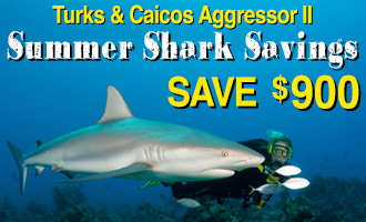 Specials and Unique Adventures | Aggressor Adventures™