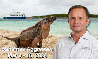 Specials and Unique Adventures | Aggressor Adventures™