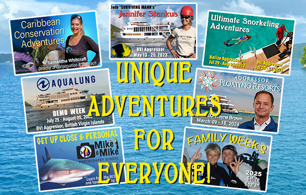 Aggressor Adventures® | Aggressor® Liveaboards, Safaris & River Cruises