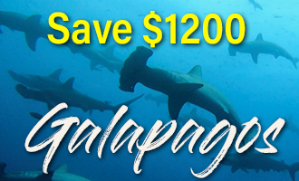 Specials and Unique Adventures | Aggressor Adventures™