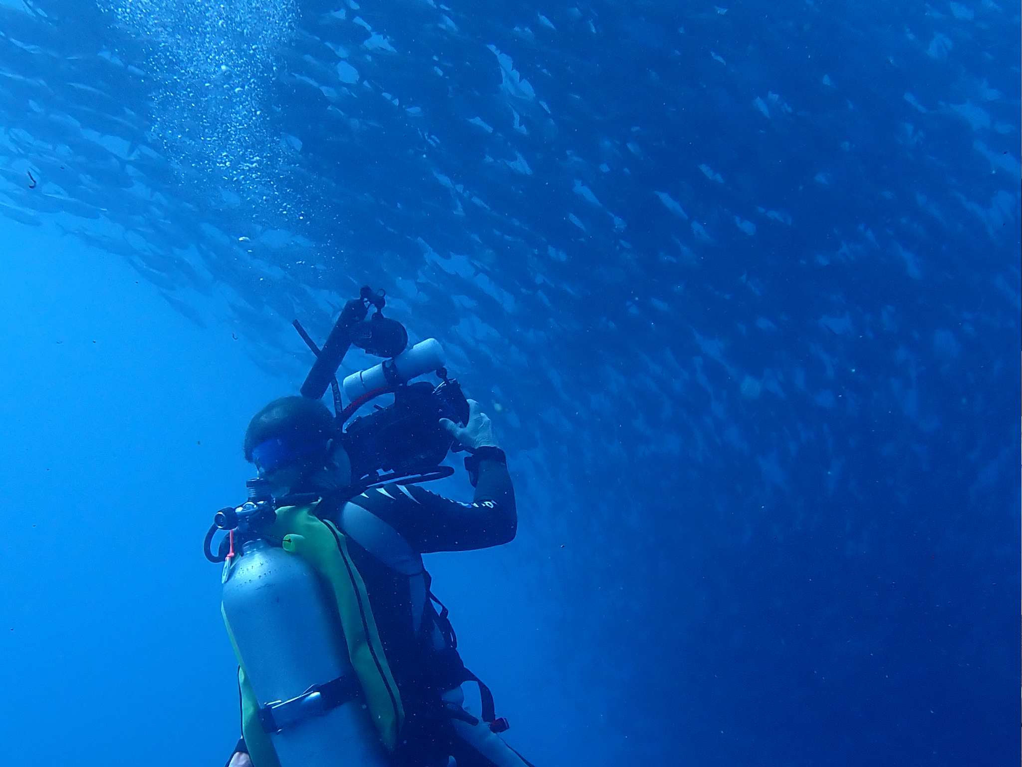 Philippines Aggressor | Adventure Logs